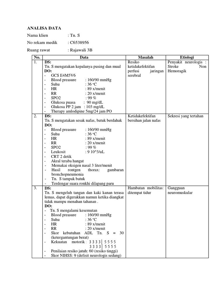 Analisa Data, Pembahasan SNH | PDF