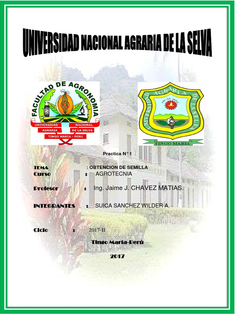 Obtencion de Semilla de Limon Rugoso | PDF | Semilla | Plantas