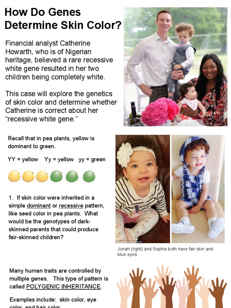 Polygenic Inheritance Skin Color