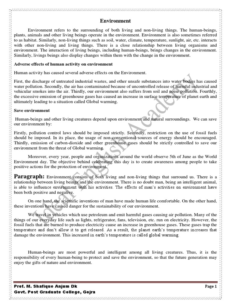 Essay On Environment | PDF | Global Warming | Natural Environment