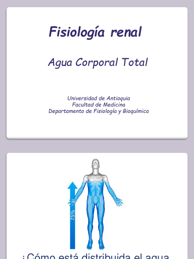 Agua Corporal Total | PDF | Índice de masa corporal | Histología