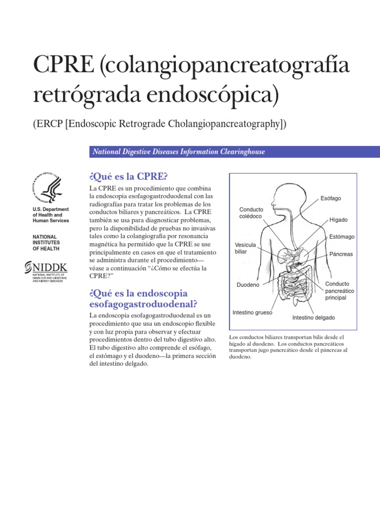 Guía de CPRE: Procedimiento y Cuidados | PDF | Endoscopia | Páncreas