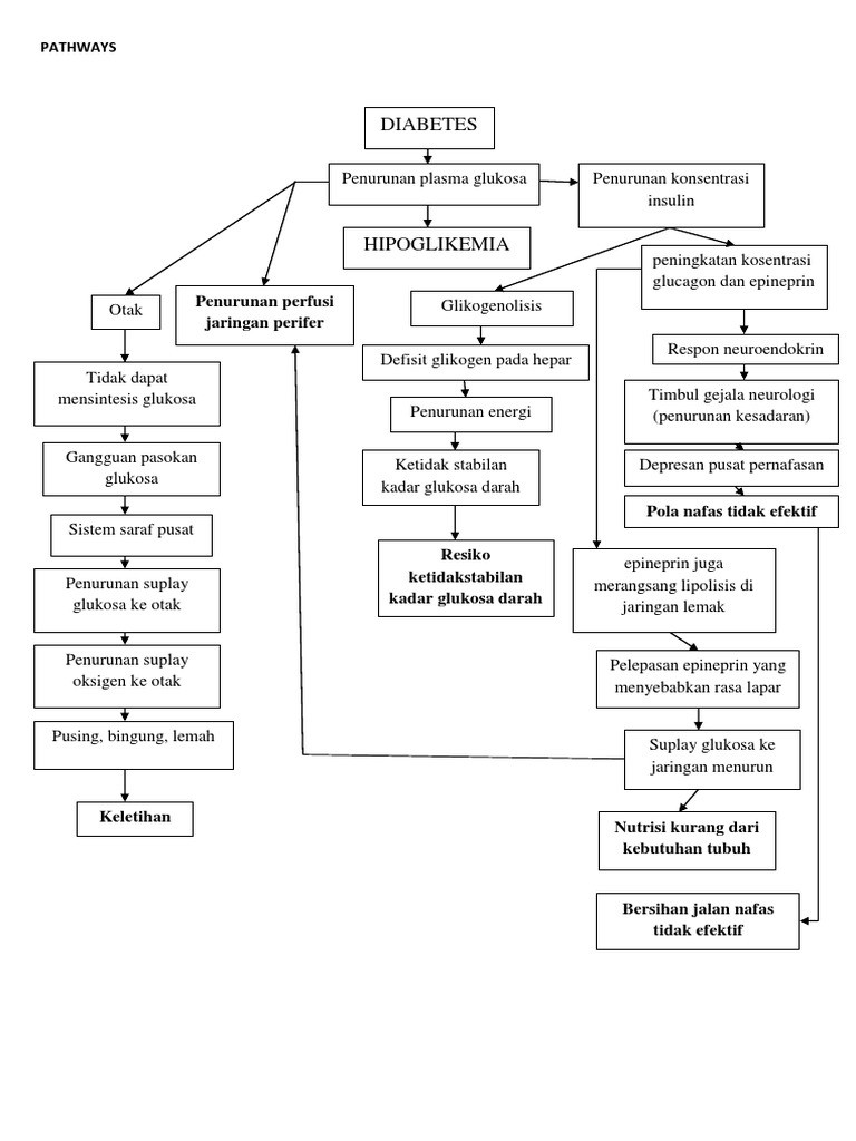 Pathways Hipoglikemia