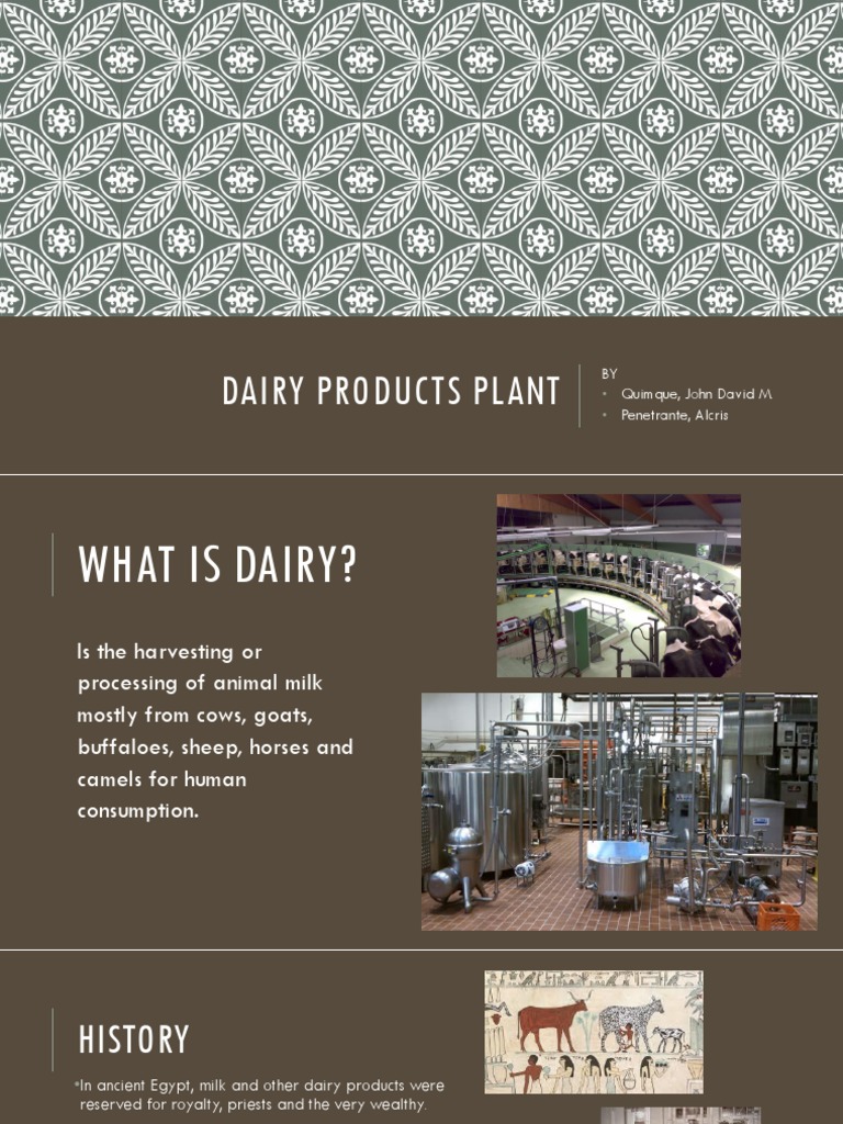 Dairy Products Plant Presentation | PDF | Dairy | Valve