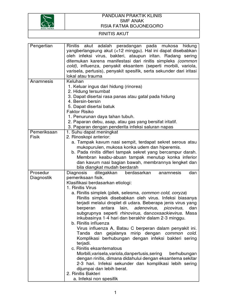 PPK Rinitis Akut | PDF