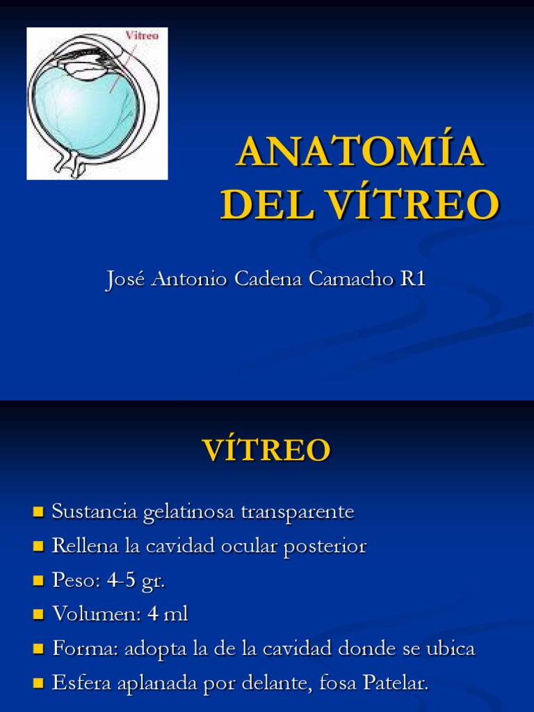 Anatomía y Estructura del Vítreo | PDF | Salud y bienestar | Ciencia y ...