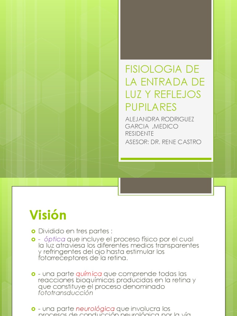 Reflejos Pupilares y Examen Físico Visual | PDF | Percepción visual ...