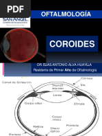 Cápsula de Tenon: Anatomía y Tenonitis | PDF | Ojo humano | Ojo