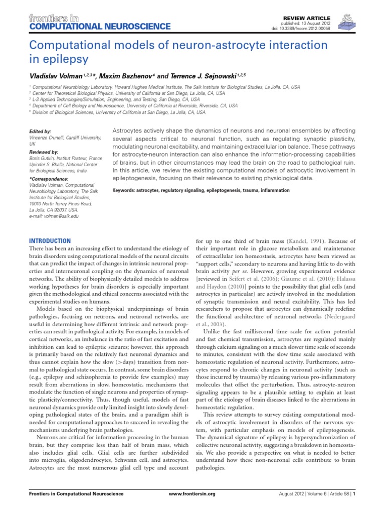 Computational Models of Neuron-Astrocyte Interaction in Epilepsy | PDF ...