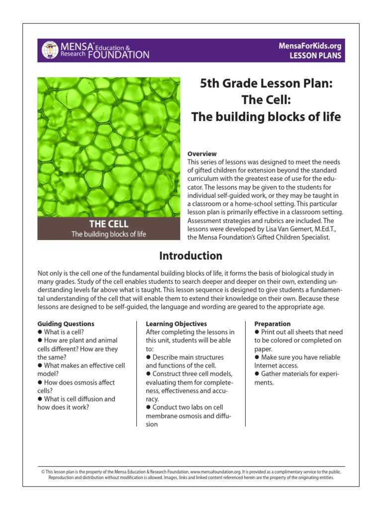 5th Grade Lesson Plan: The Cell: The Building Blocks of Life | PDF ...