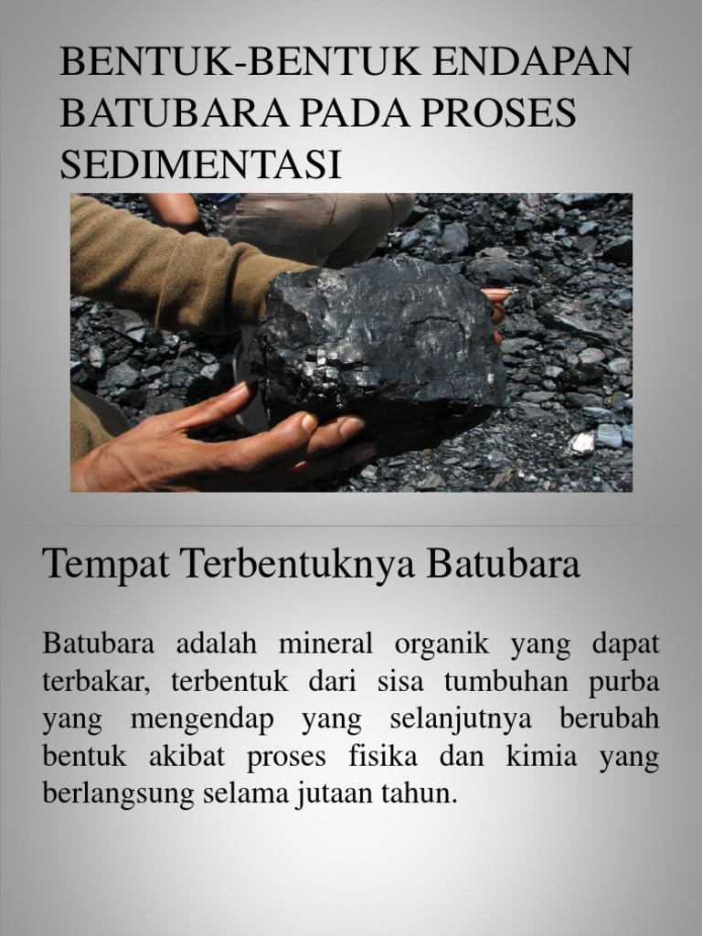 Bentuk-Bentuk Endapan Batubara Pada Proses Sedimentasi | PDF