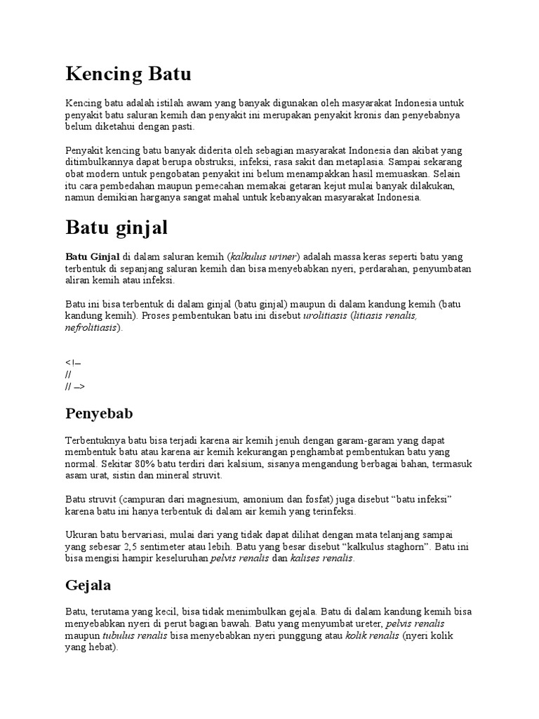 Batu Staghorn 3 | PDF