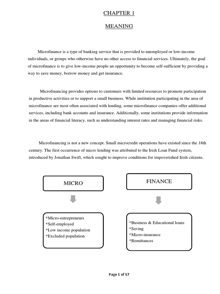 Microfinance | PDF | Microfinance | Microcredit