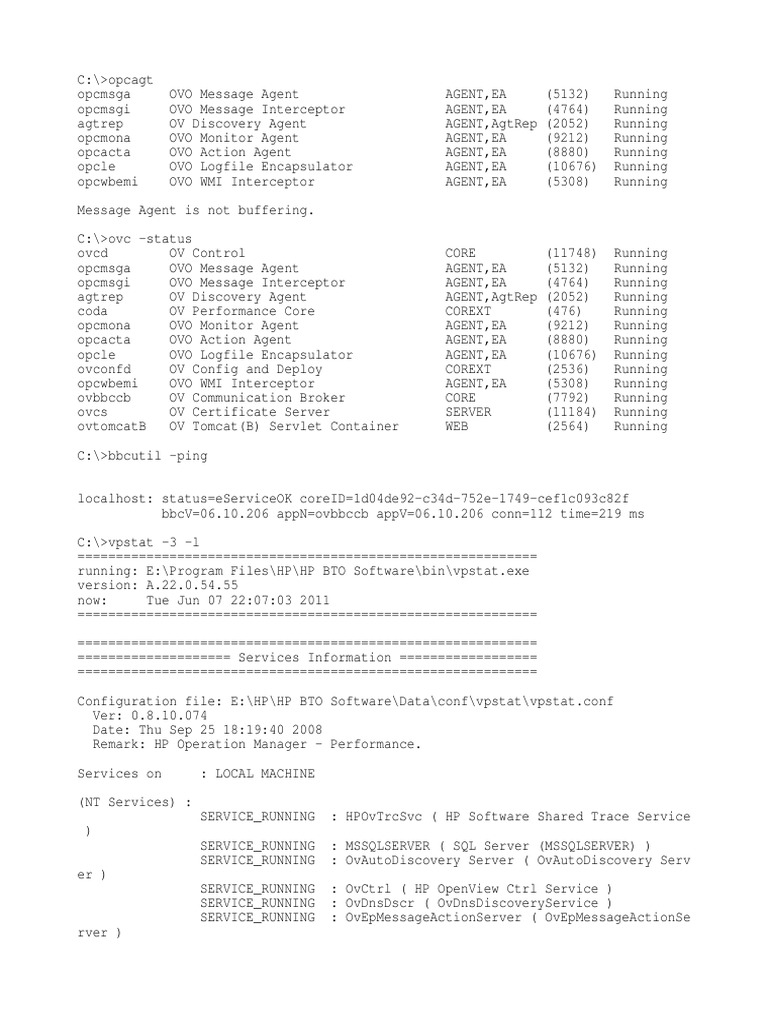 OMW Basic Commands Output | PDF | Microsoft Windows | Information Technology Management