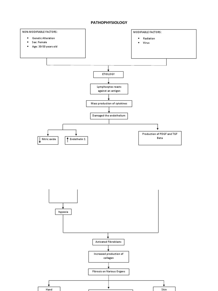 Scleroderma Pathophysiology | PDF | Lung | Heart