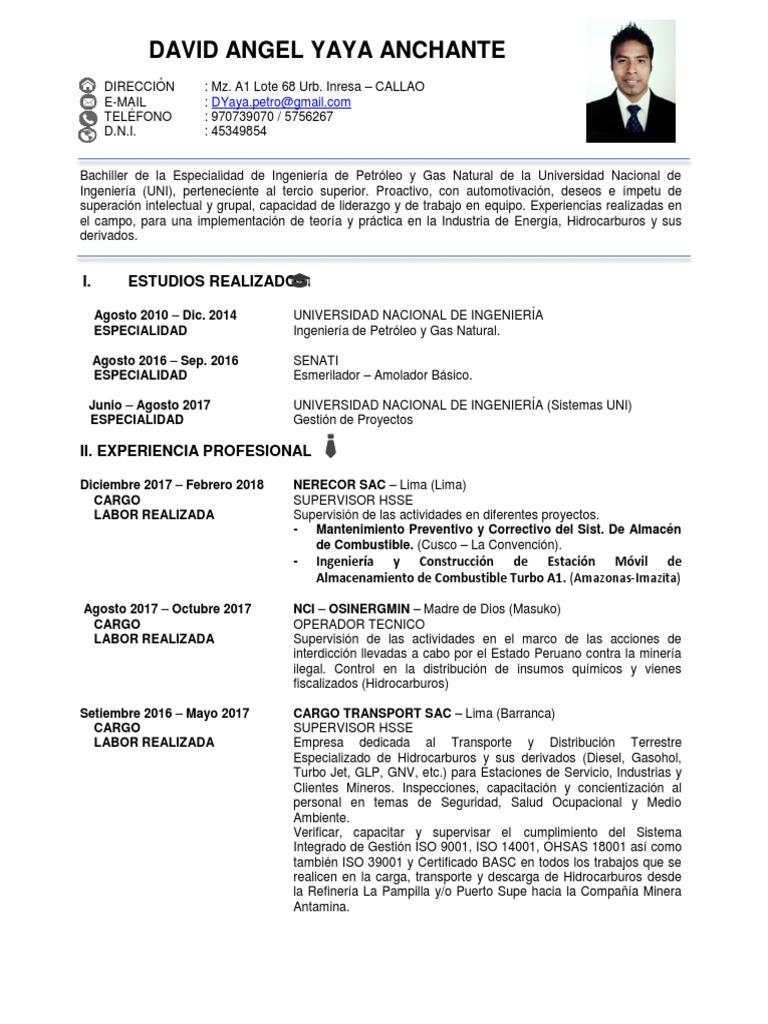 Perfil Profesional de David Yaya | PDF | Petróleo | Combustibles