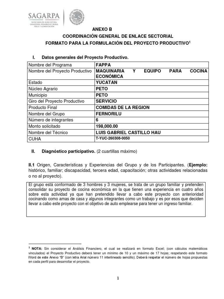 ANEXO B. FormulaciÃ N Del Proyecto Productivo - FAPPA Cocina Fernorilu ...