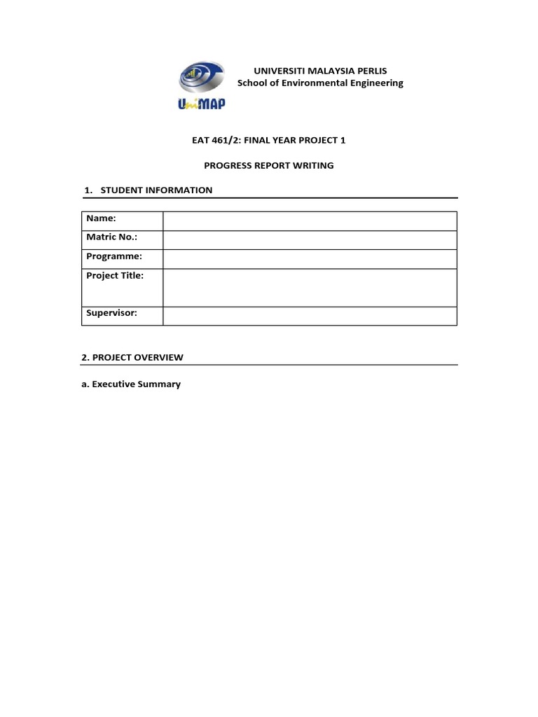 Progress Report Template | PDF