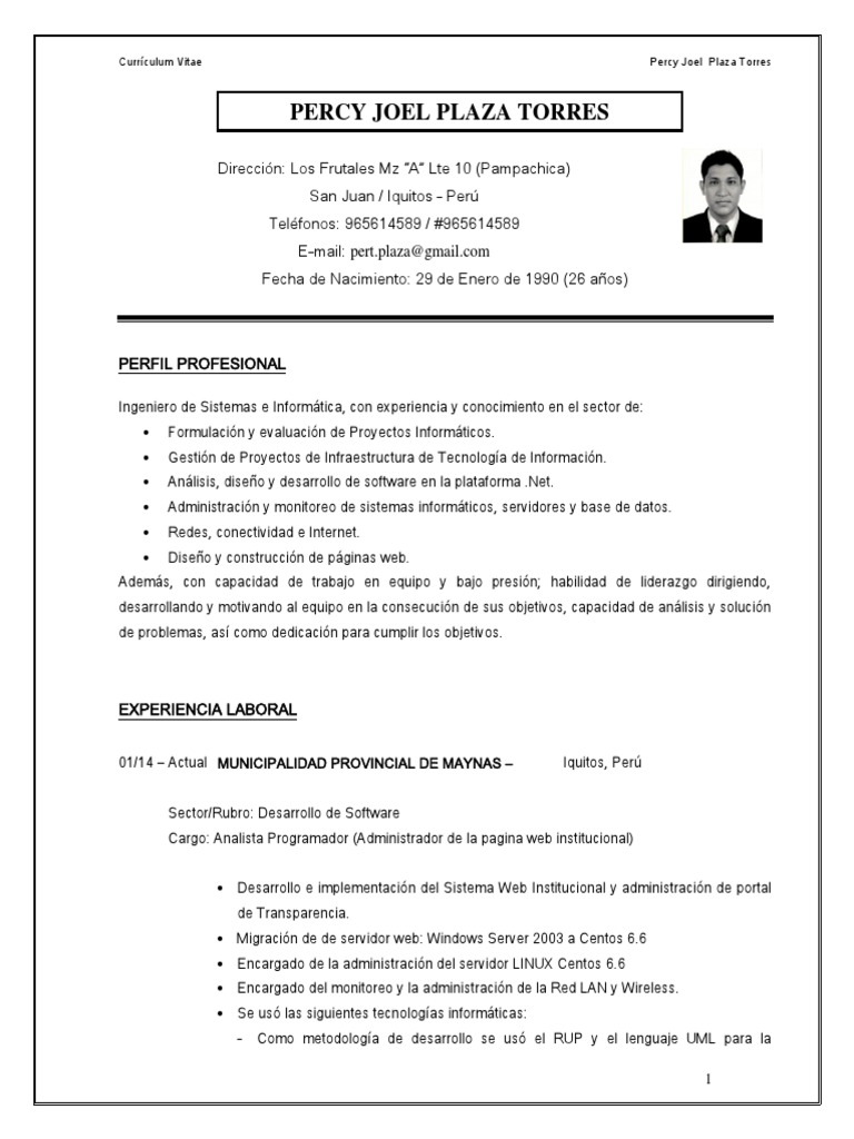 CV - Percy Joel Plaza Torres | PDF | Ingeniería de software | Red mundial