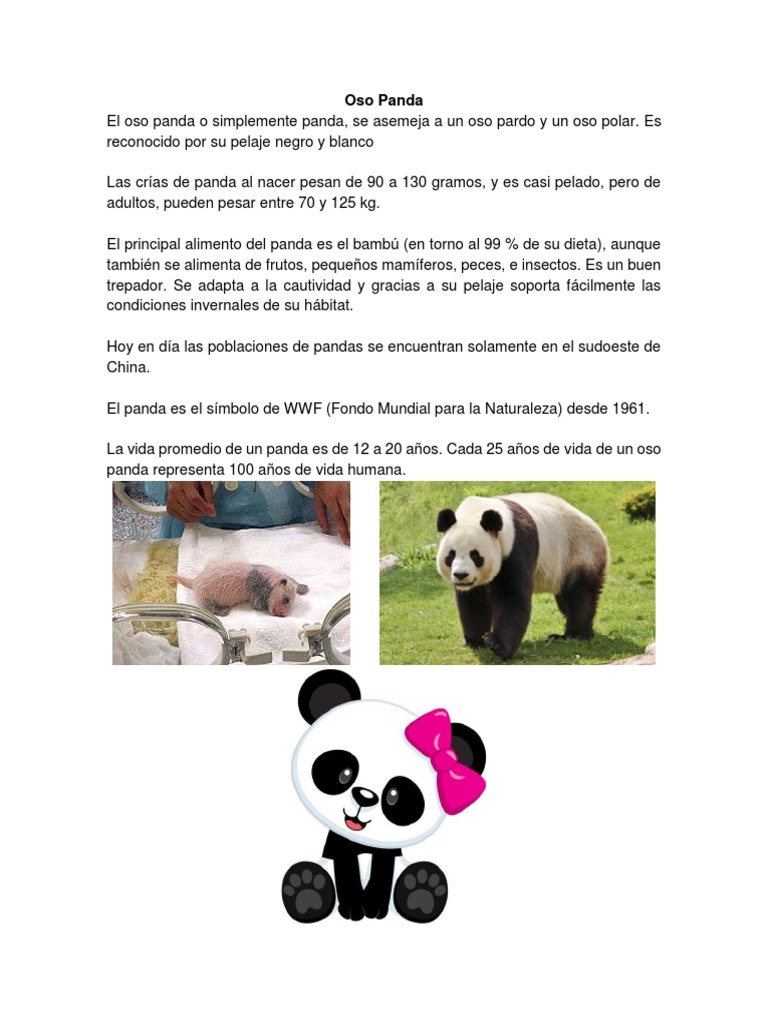 Oso Panda | PDF | Panda gigante | Lectura (proceso)