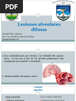 CAPÍTULO 17 - Prurigo Por Insectos (Cimiciasis) | PDF | Insecticida ...