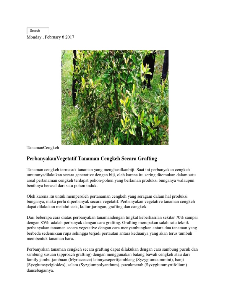 Cengkeh Grafting | PDF