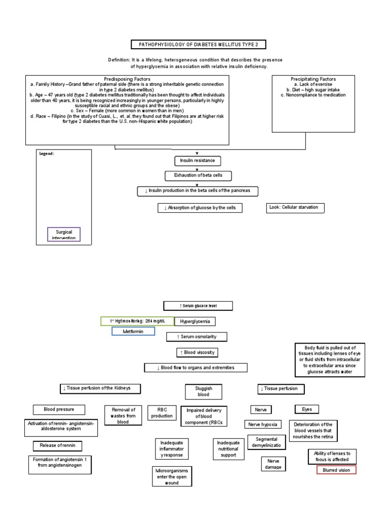 Pathophysiology of Diabetes Mellitus Type 2 | PDF | Diabetes ...