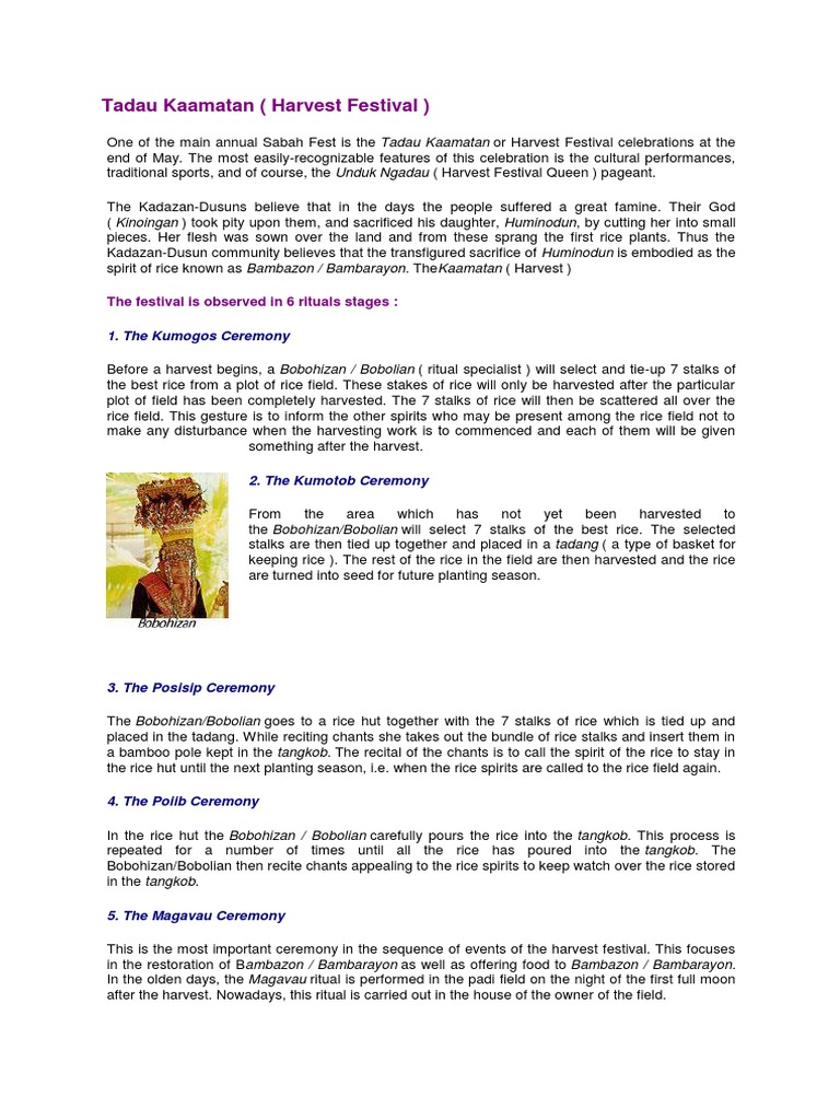 Kaamatan Special | PDF | Rice