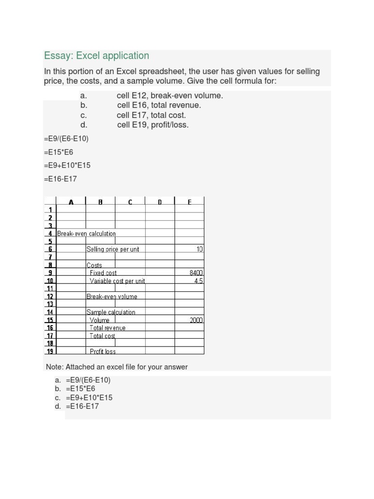 Essay: Excel Application: E9/ (E6-E10) E15 E6 E9+E10 E15 E16-E17 | PDF
