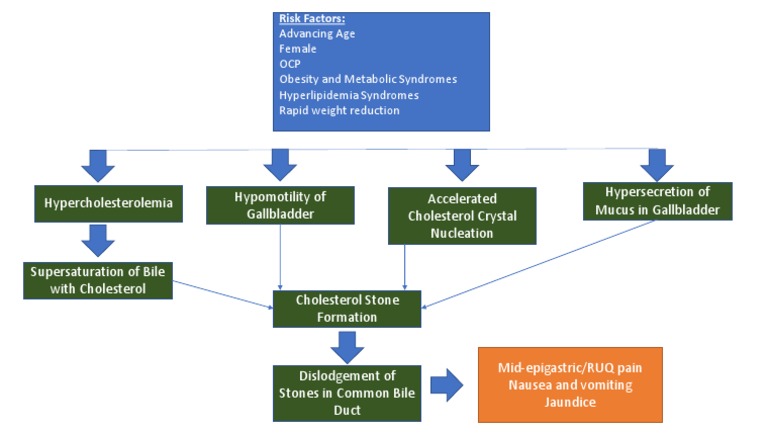 Advancing Age Female OCP Obesity and Metabolic Syndromes Hyperlipidemia ...