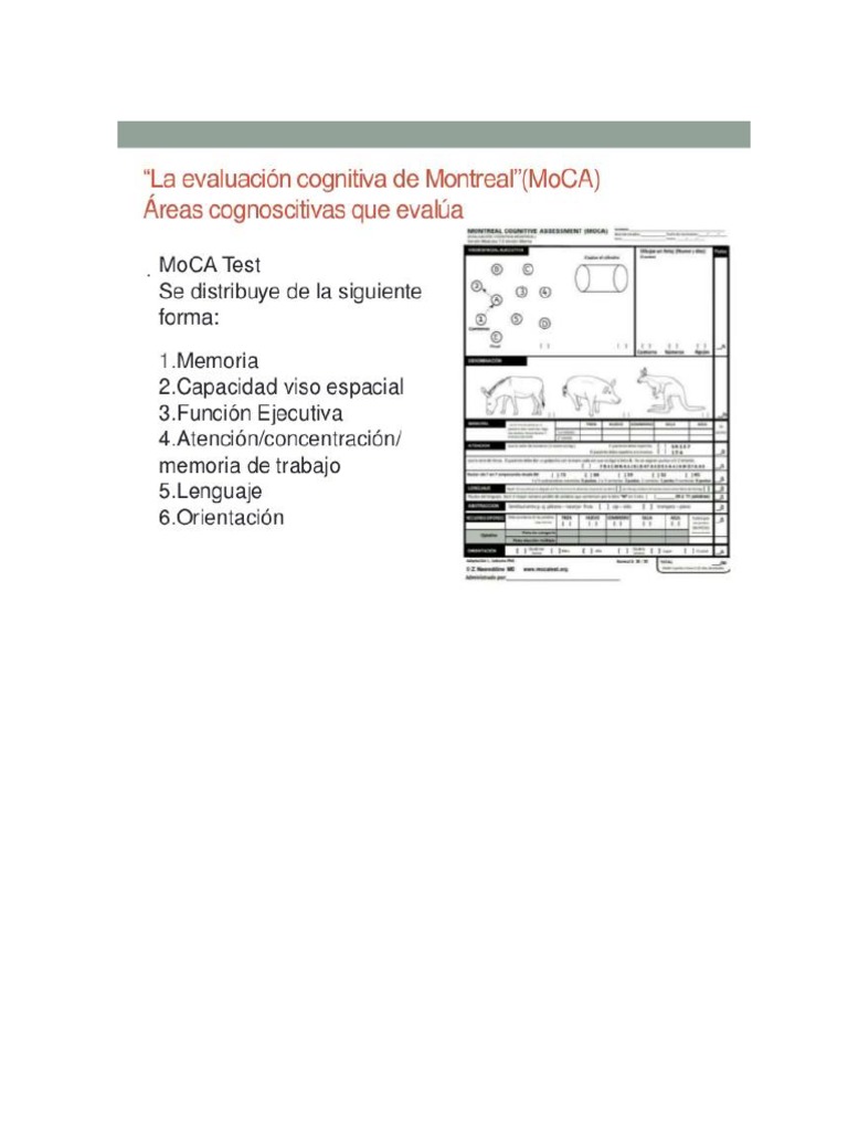 Test de Moca Ficha Tecnica