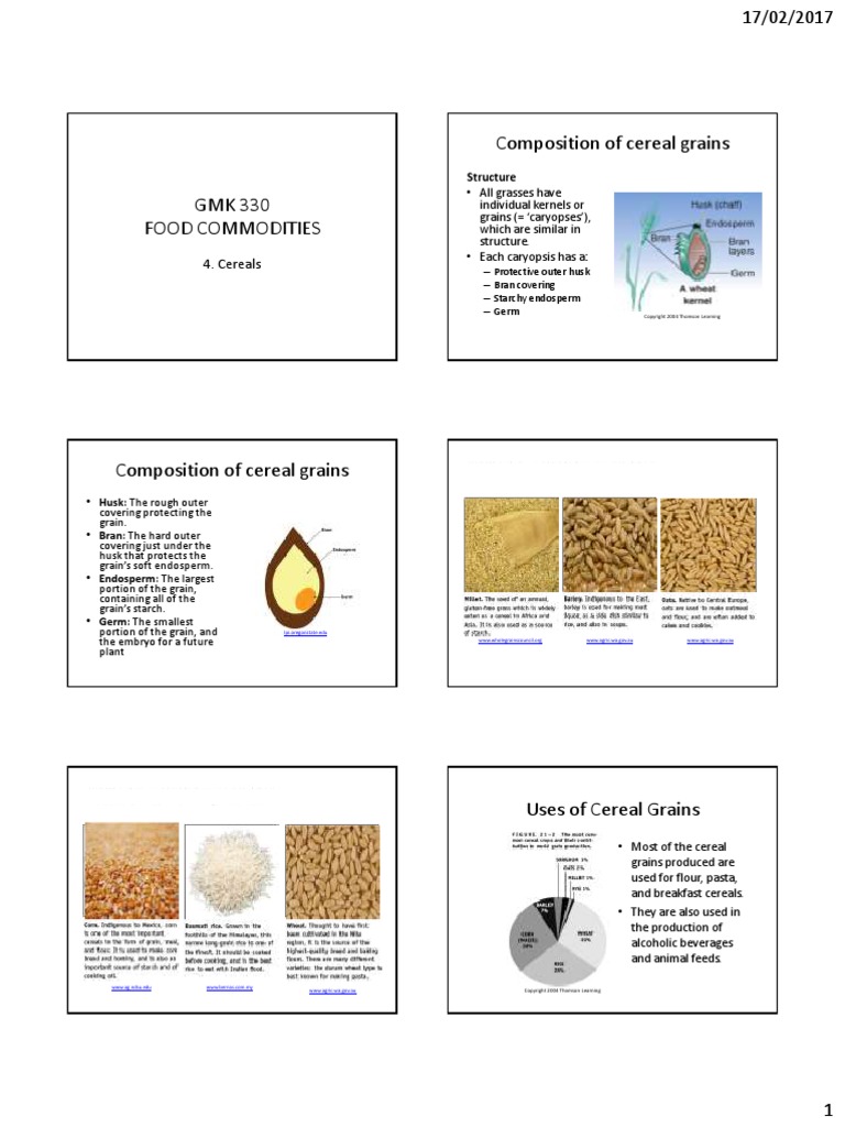 Composition of Cereal Grains: 4. Cereals | PDF | Cereals | Rice