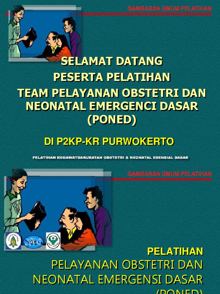 Gambaran Umum New Poned | PDF