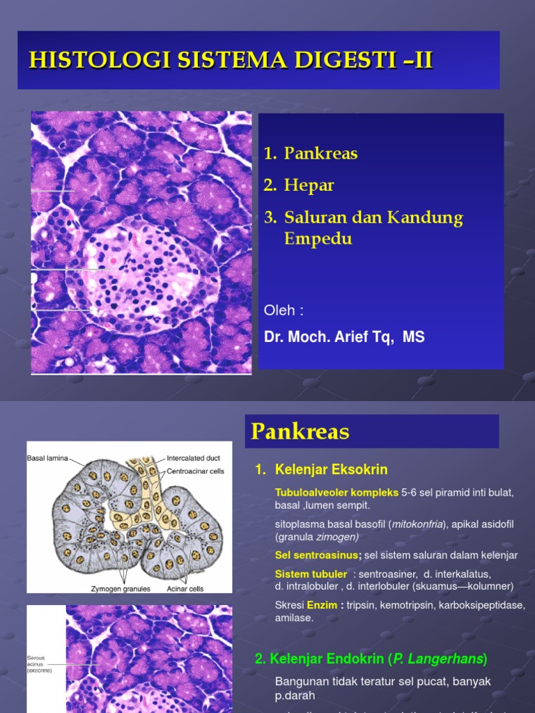Kul. Digesti II | PDF