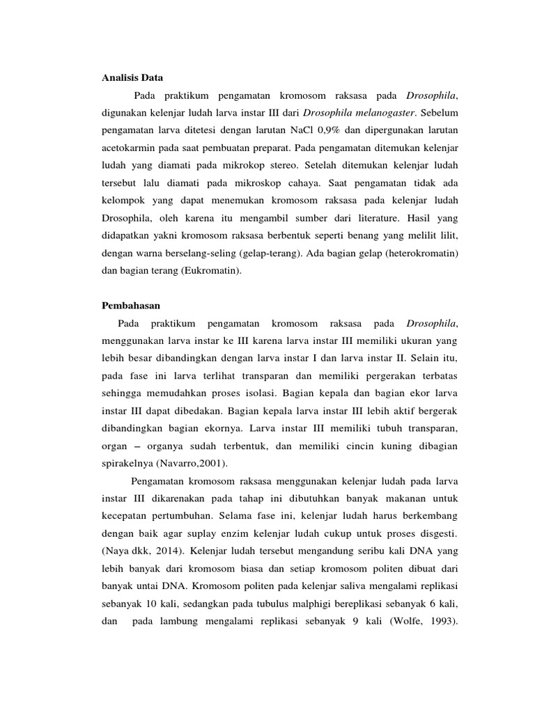 Analisis Pembahasan Kromosom Raksasa. | PDF