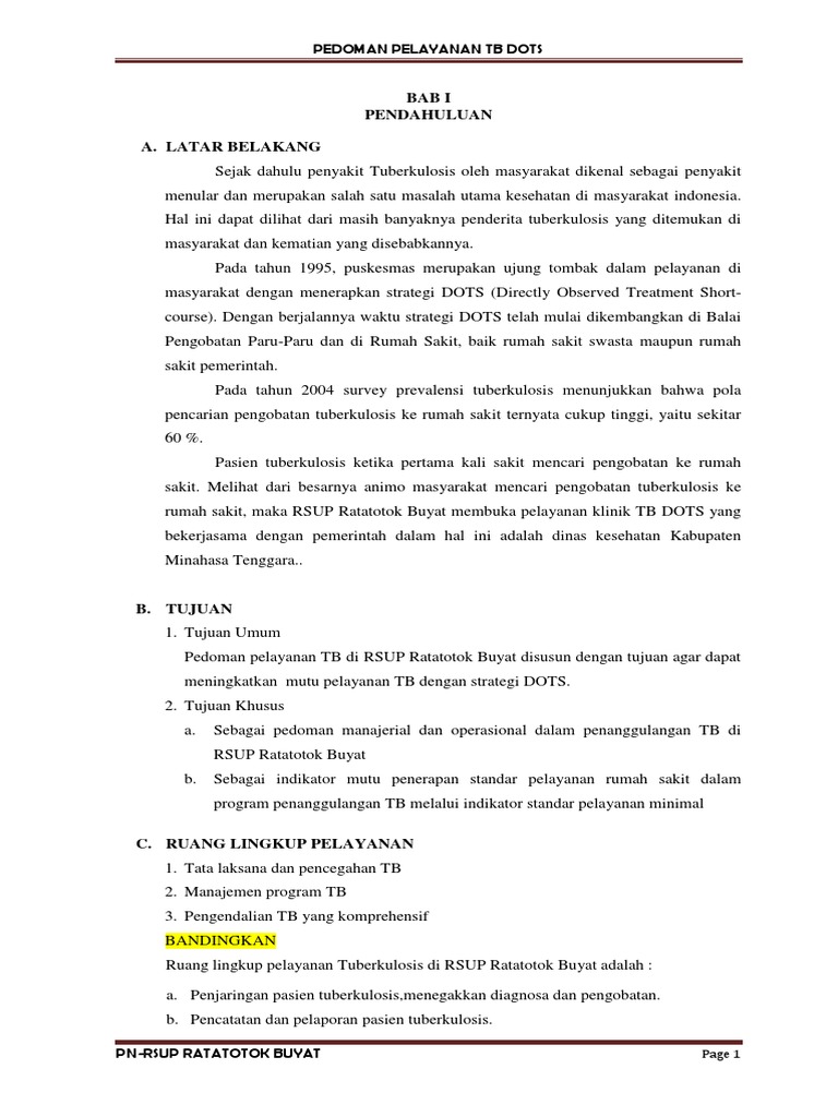 Pedoman Pelayanan TB Dots | PDF