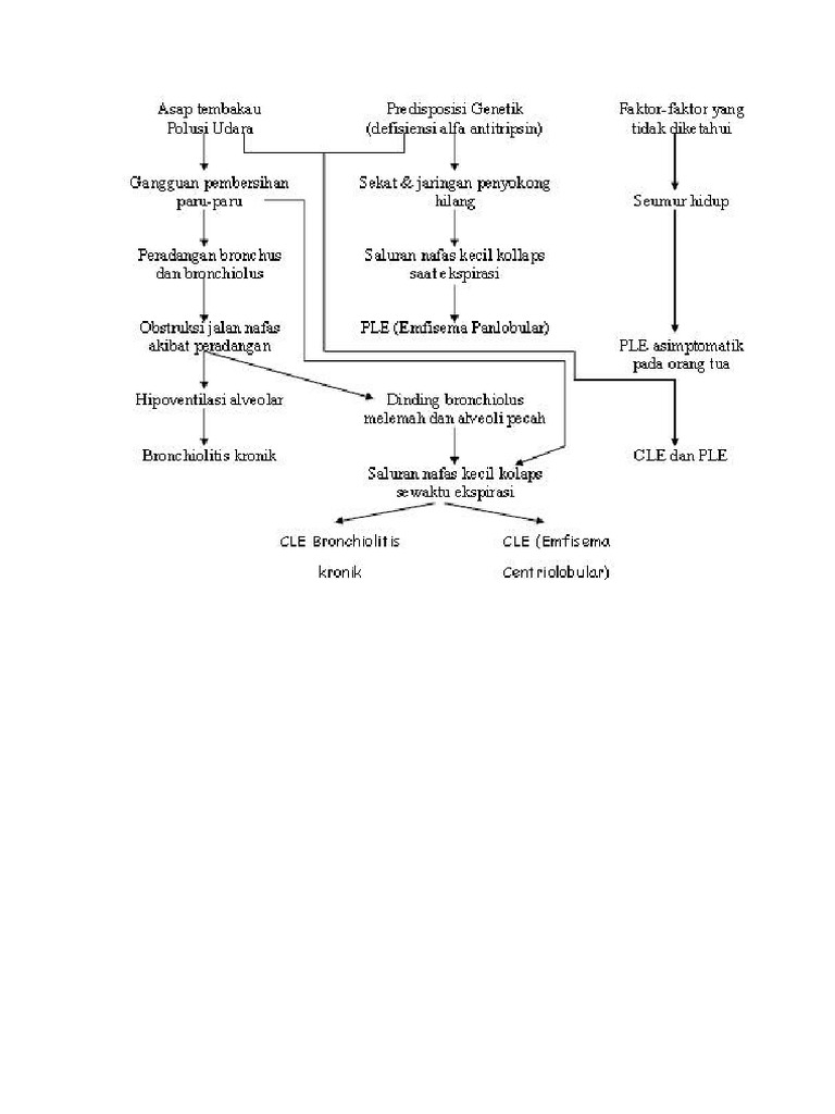 Pathway Emfisema | PDF