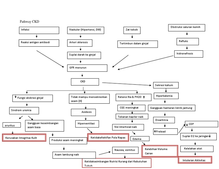 Pathway CKD | PDF