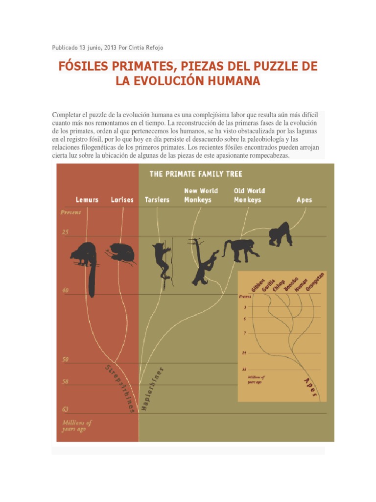 El Origen de Los Primates | PDF | Mono | Taxonomía de primates