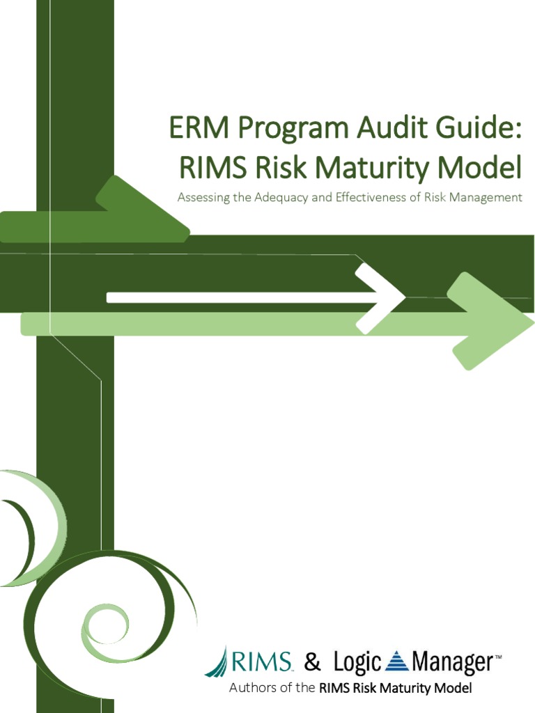 ERM Program Audit Guide RIMS Risk Maturity Model | Download Free PDF ...