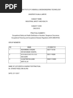 Copm PDF | PDF | Labour | Wellness