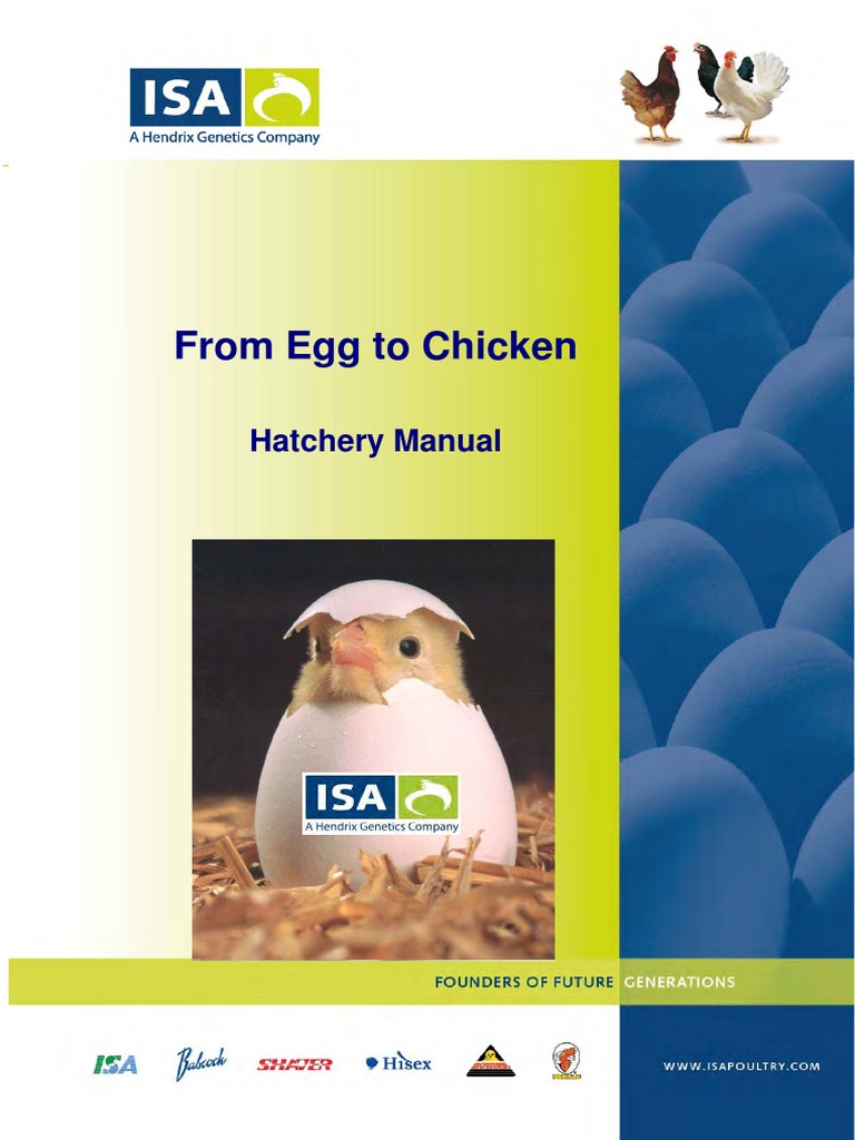 From Egg To Chicken Hatchery Manual | PDF | Egg | Yolk