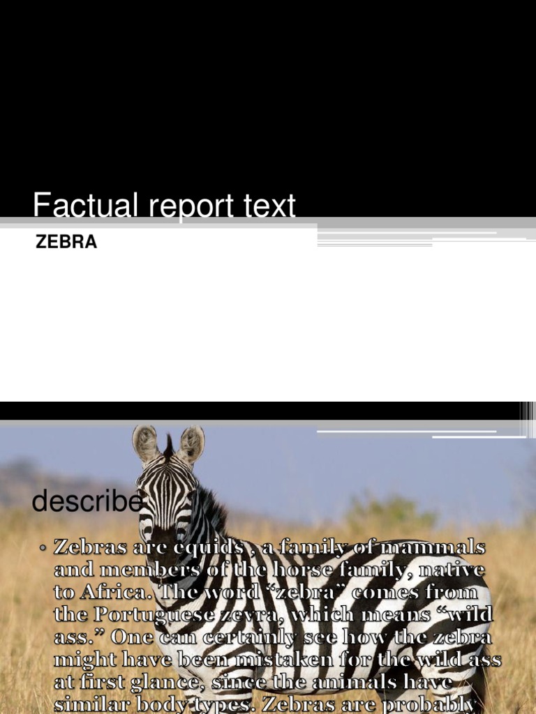 Factual Report Text ZEBRA | PDF