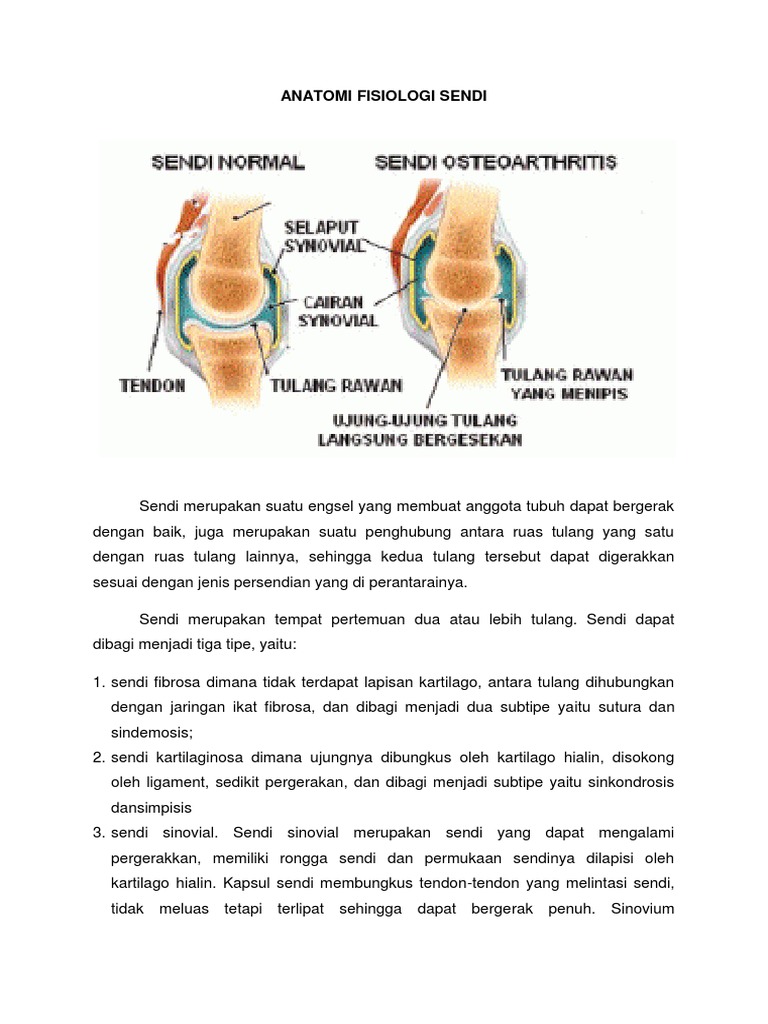 Anatomi Fisiologi Sendi | PDF