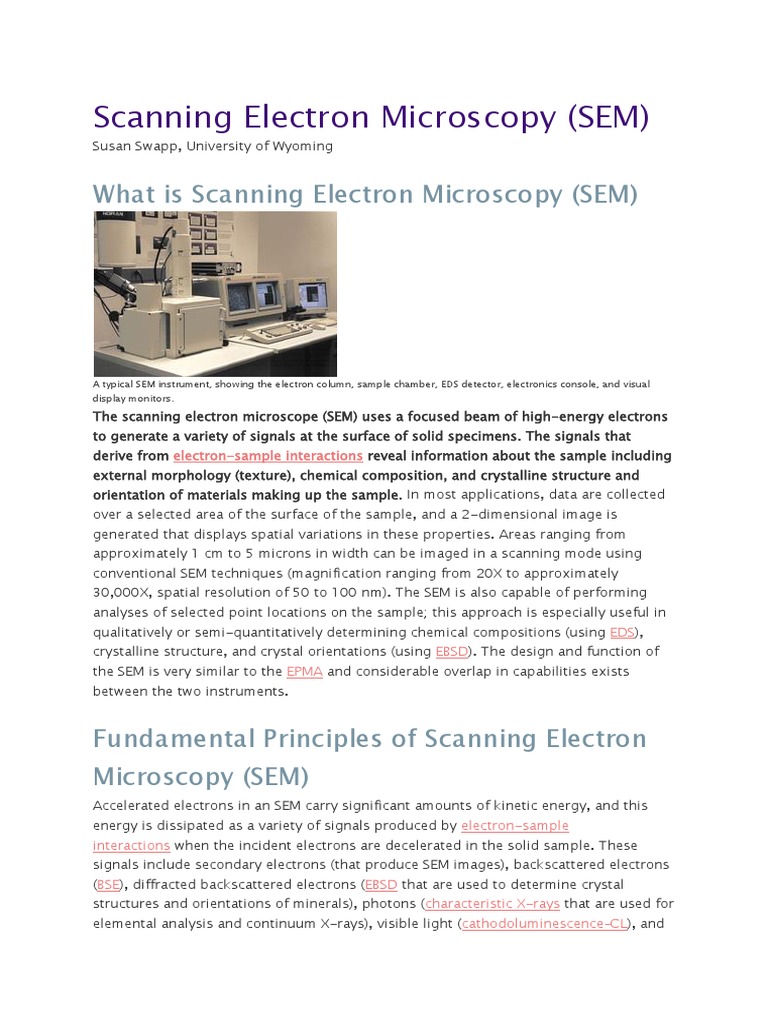 Scanning Electron Micros | PDF | Scanning Electron Microscope | Electron Microscope