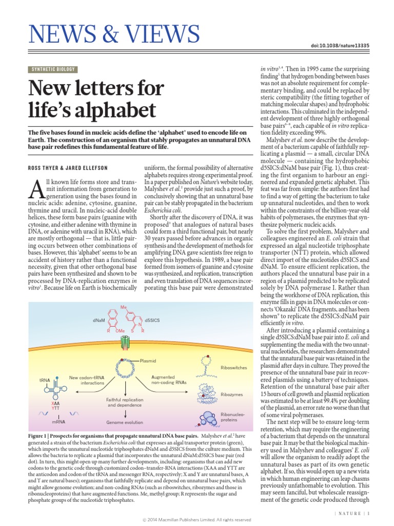 News & Views: New Letters For Life's Alphabet | PDF | Base Pair ...