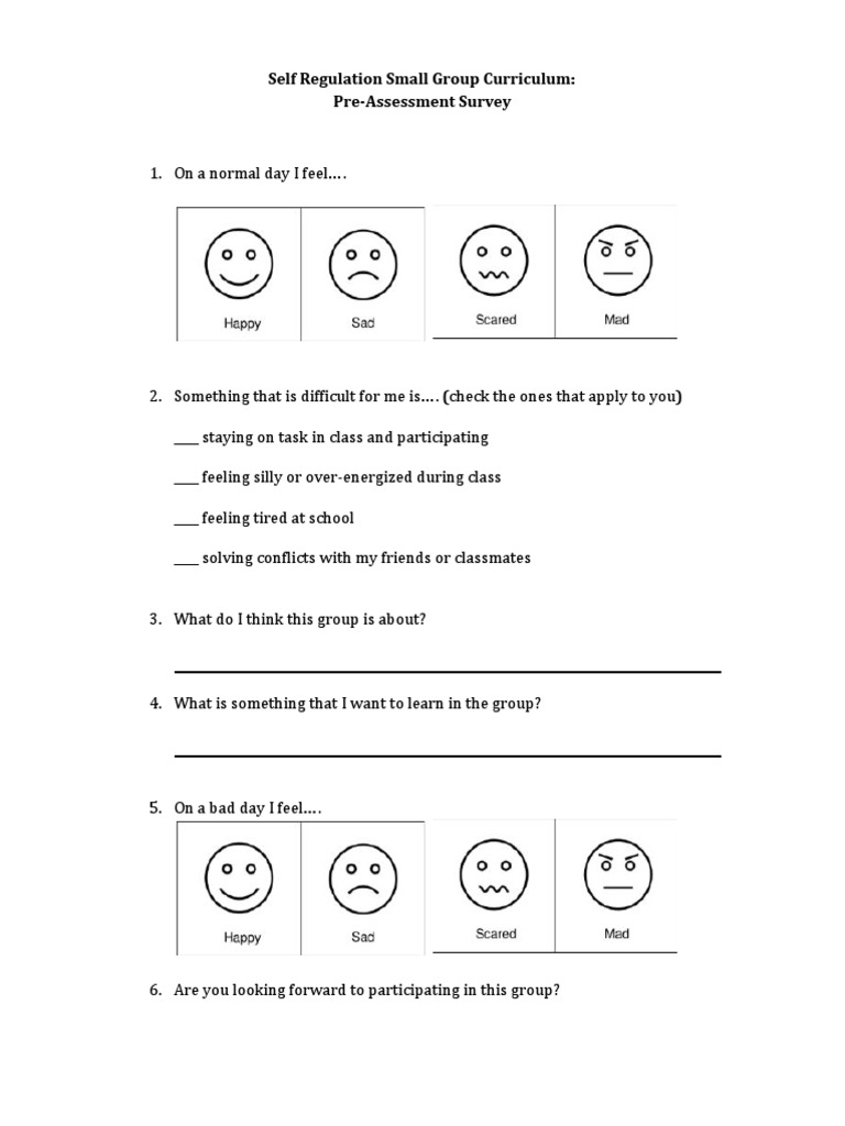 Self Regulation Small Group Curriculum: Pre-Assessment Survey | PDF