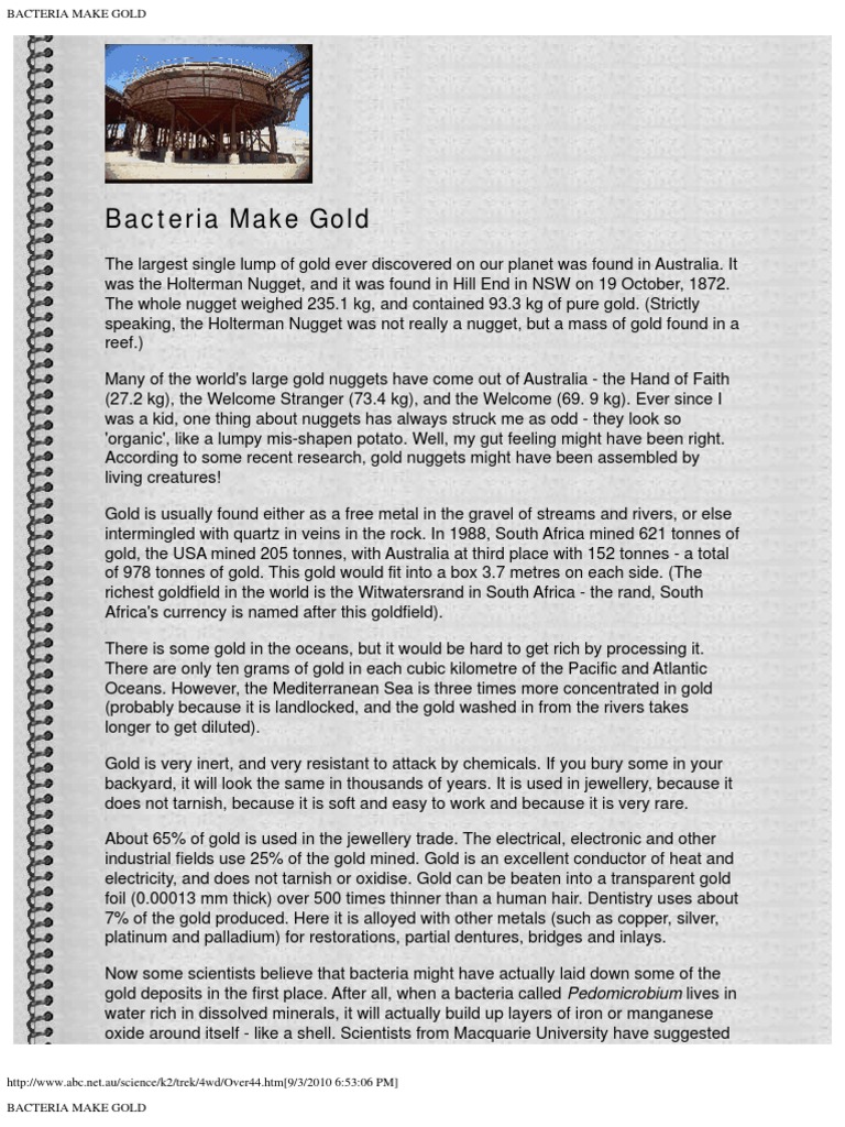 Bacteria Make Gold | PDF | Gold | Bacteria
