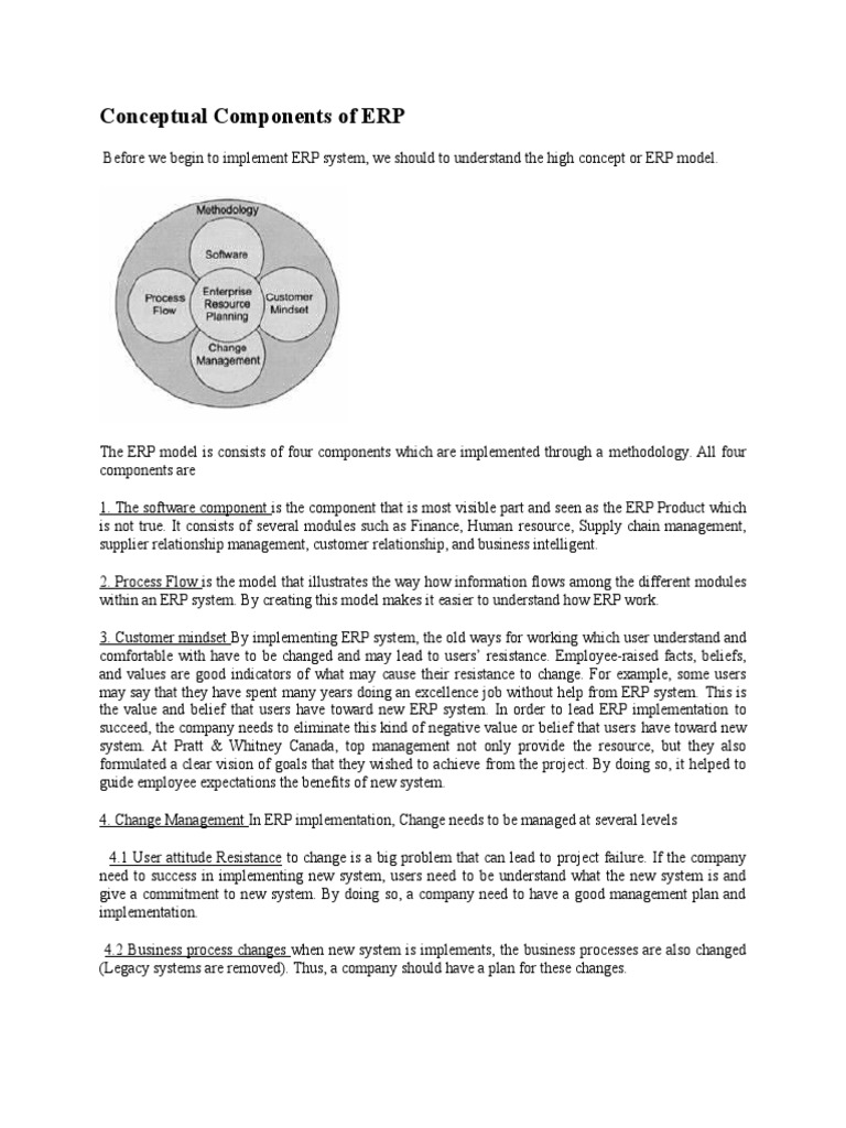 Conceptual Components of ERP | PDF