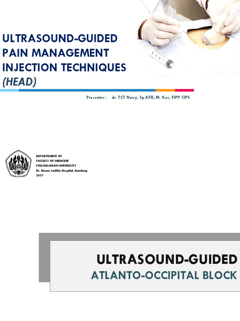 Ultrasound-Guided Pain Management Injection Techniques: (HEAD ...